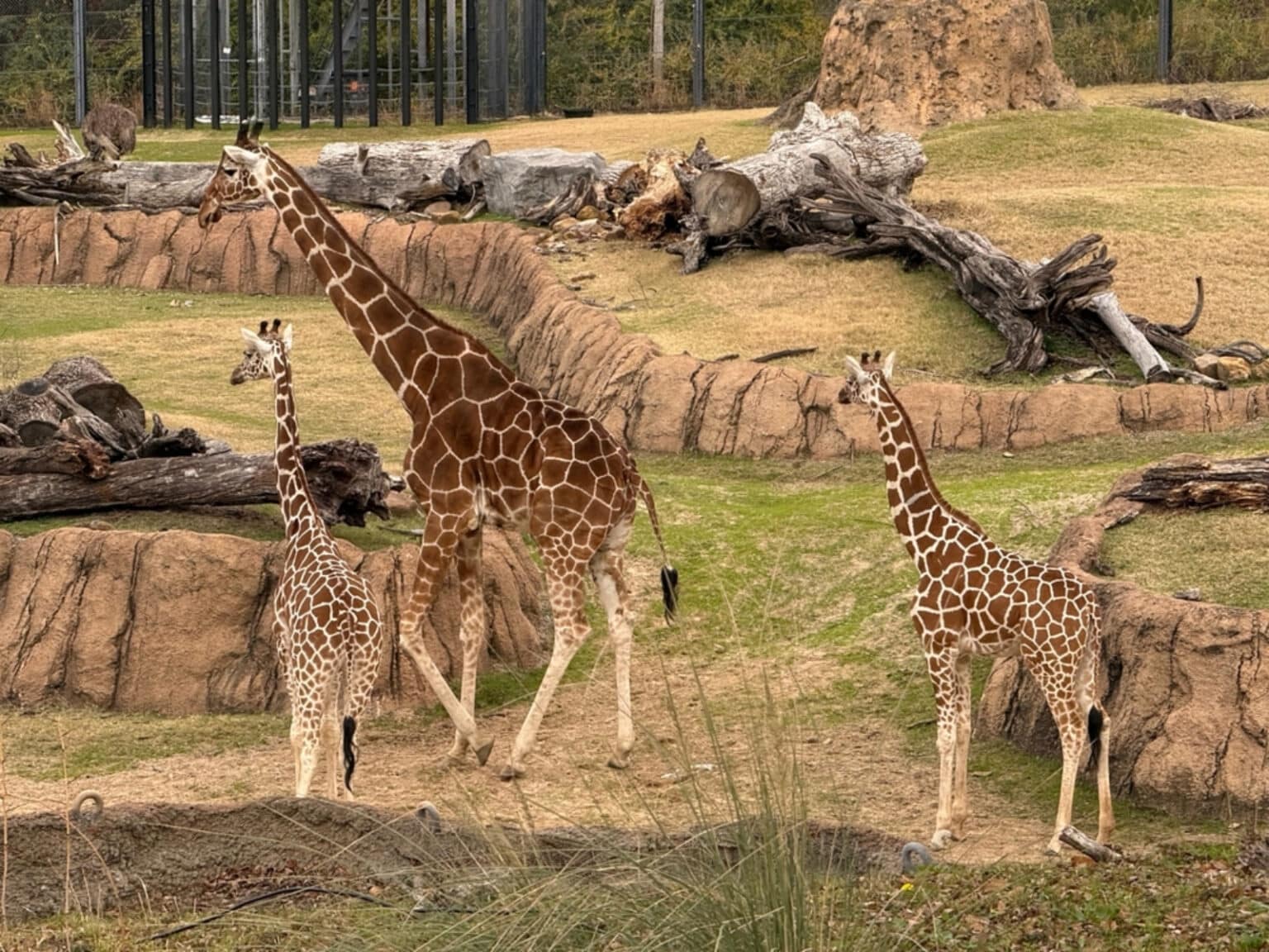 24 Things to Do in Dallas—The Ultimate Guide